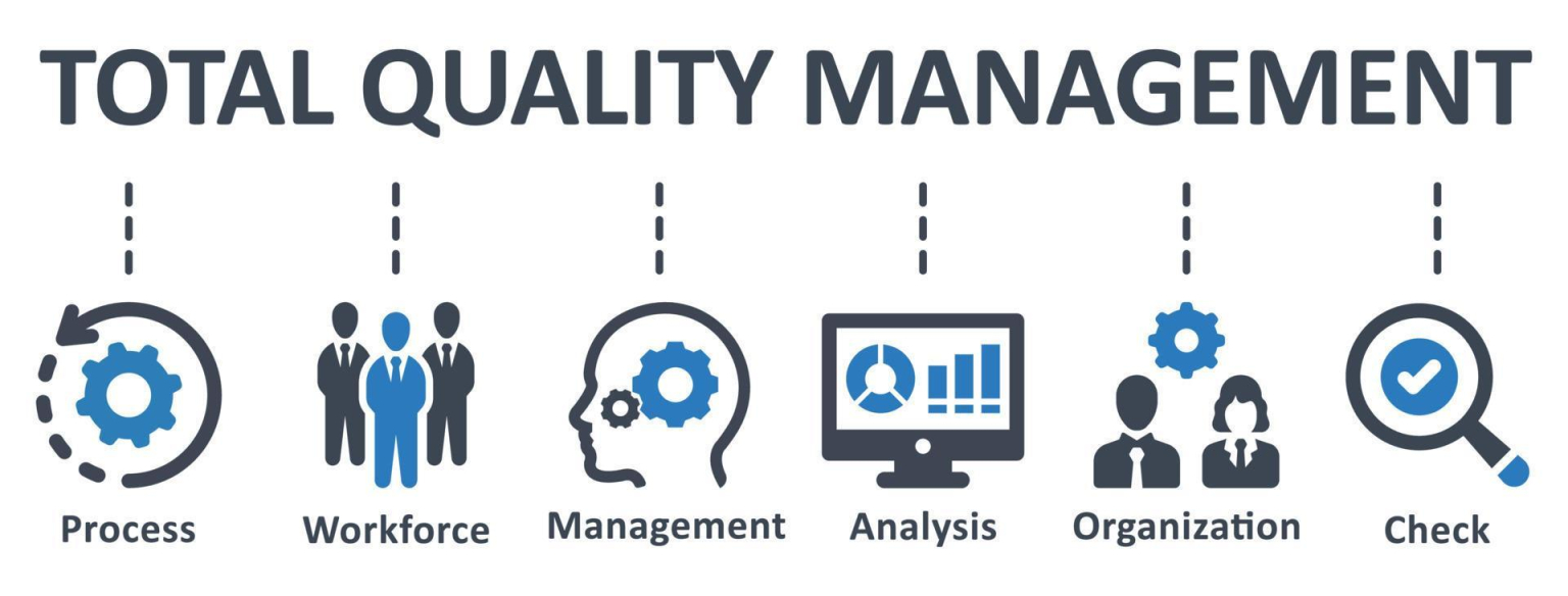Our Services – TCI